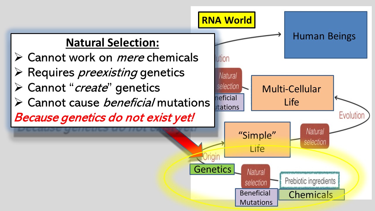 RNA WORLD’S FATAL FLAW – Evolution is a Myth