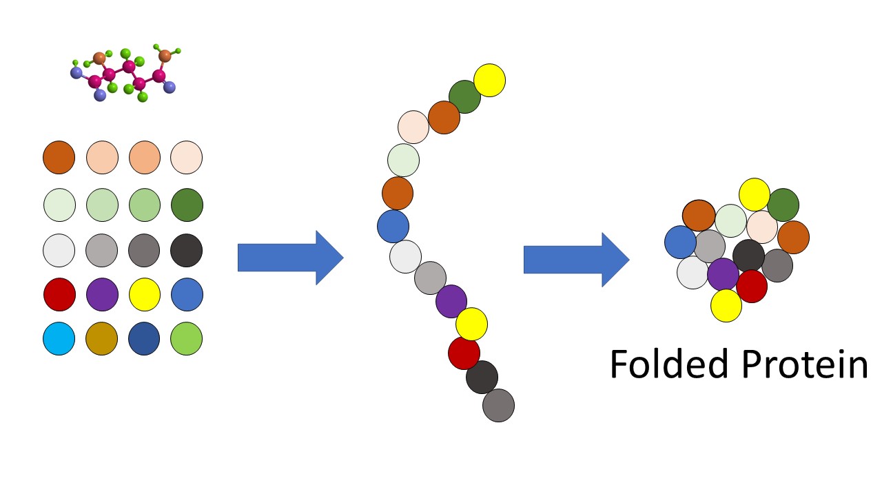 HEREDITY AND MUTATION: INTERCHANGEABLE OR OPPOSITE TERMS? – Evolution ...